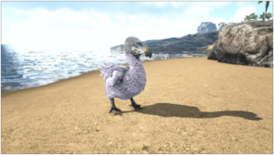 Ark Dodo (Abilities, Taming, Food, Saddle, Breeding, Drops & Location ...